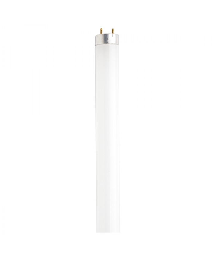 Satco S6533 Satco FO32/735/ECO 32 Watt T8 48 inch Medium Bi Pin Base ...