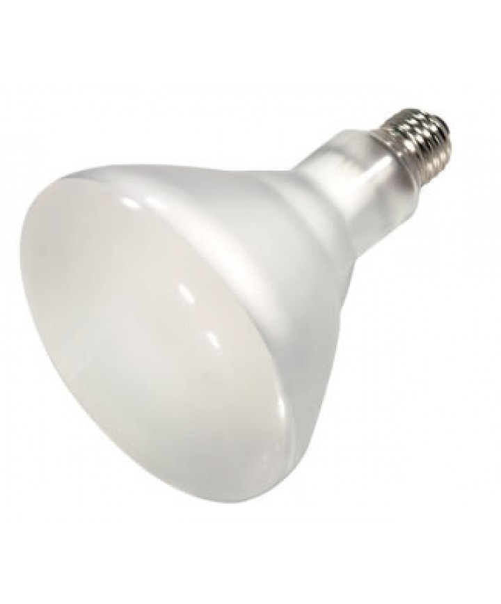 Satco S4504 Satco 75BR40/FL/HAL 75 Watt Halogen Bulb, 120v Halogen Bulb ... Satco S4504 Satco 75BR40/FL/HAL 75 Watt Halogen Bulb, 120v Halogen Bulb ...
