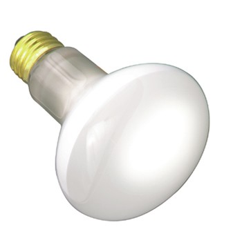 Satco S7001 100R20/FL 130V SHORT E26 POOL 100 Watts 130 Volts 0.769A