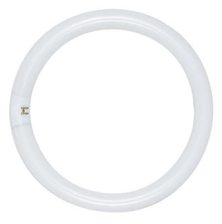Satco S6506 Satco FC16T9/CW 40 Watt T9 16 inch 4 Pin Base Cool White ...