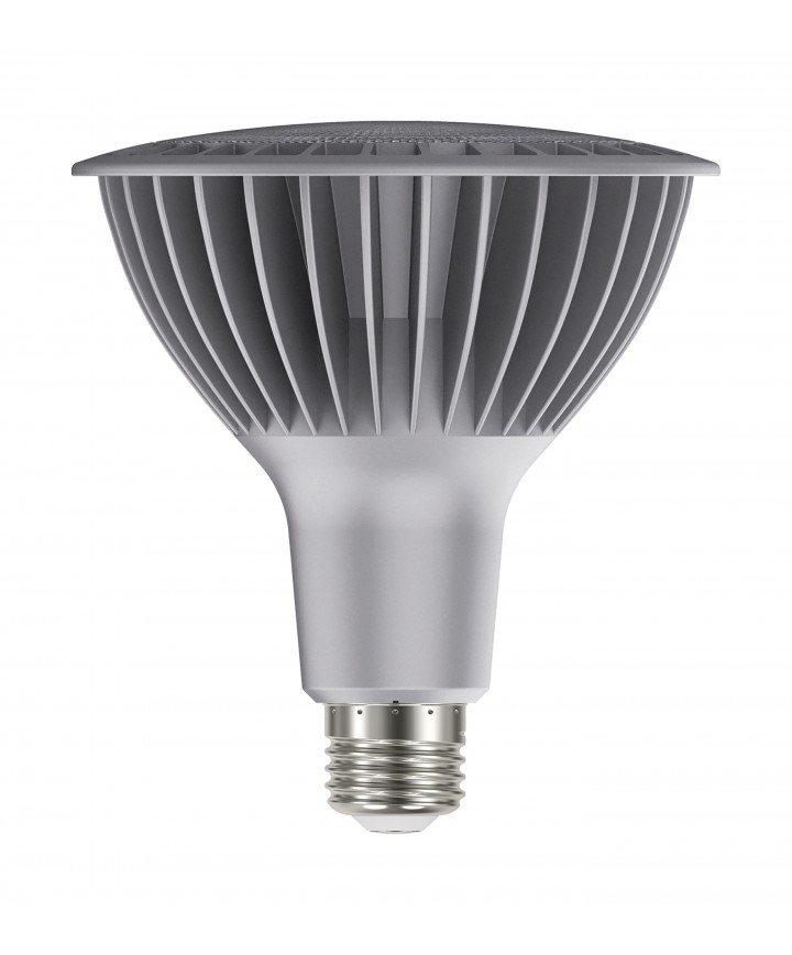 Satco|Nuvo S22253 | PAR38 LED Bulb High Lumen 33 Watt 5000K ...