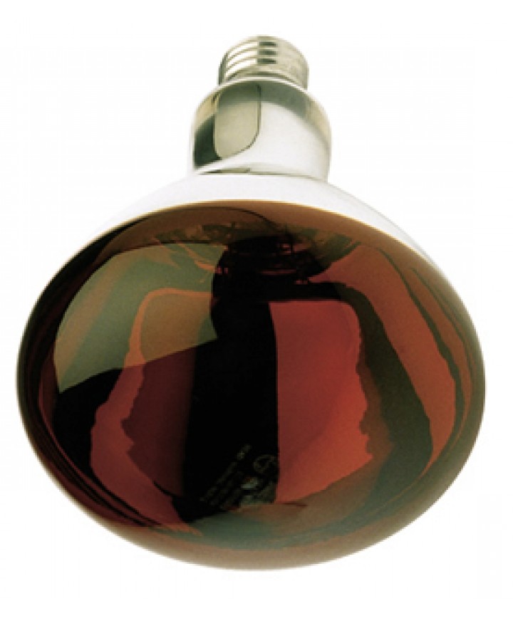 Satco S4884 Satco 250R40/HR/TF 250 Watt 120 Volt R40 Medium Base Red ...